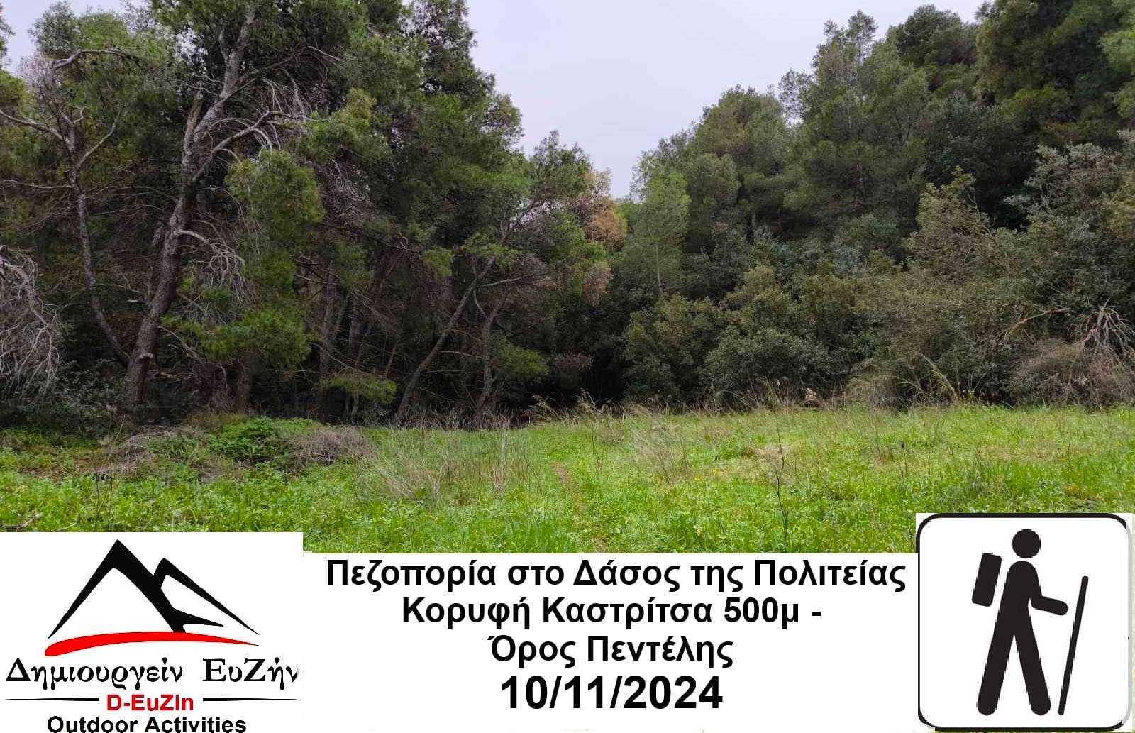 10/11/2024 Πεζοπορία στο Δάσος της Πολιτείας Καστρίτσα 500μ - Όρος ...