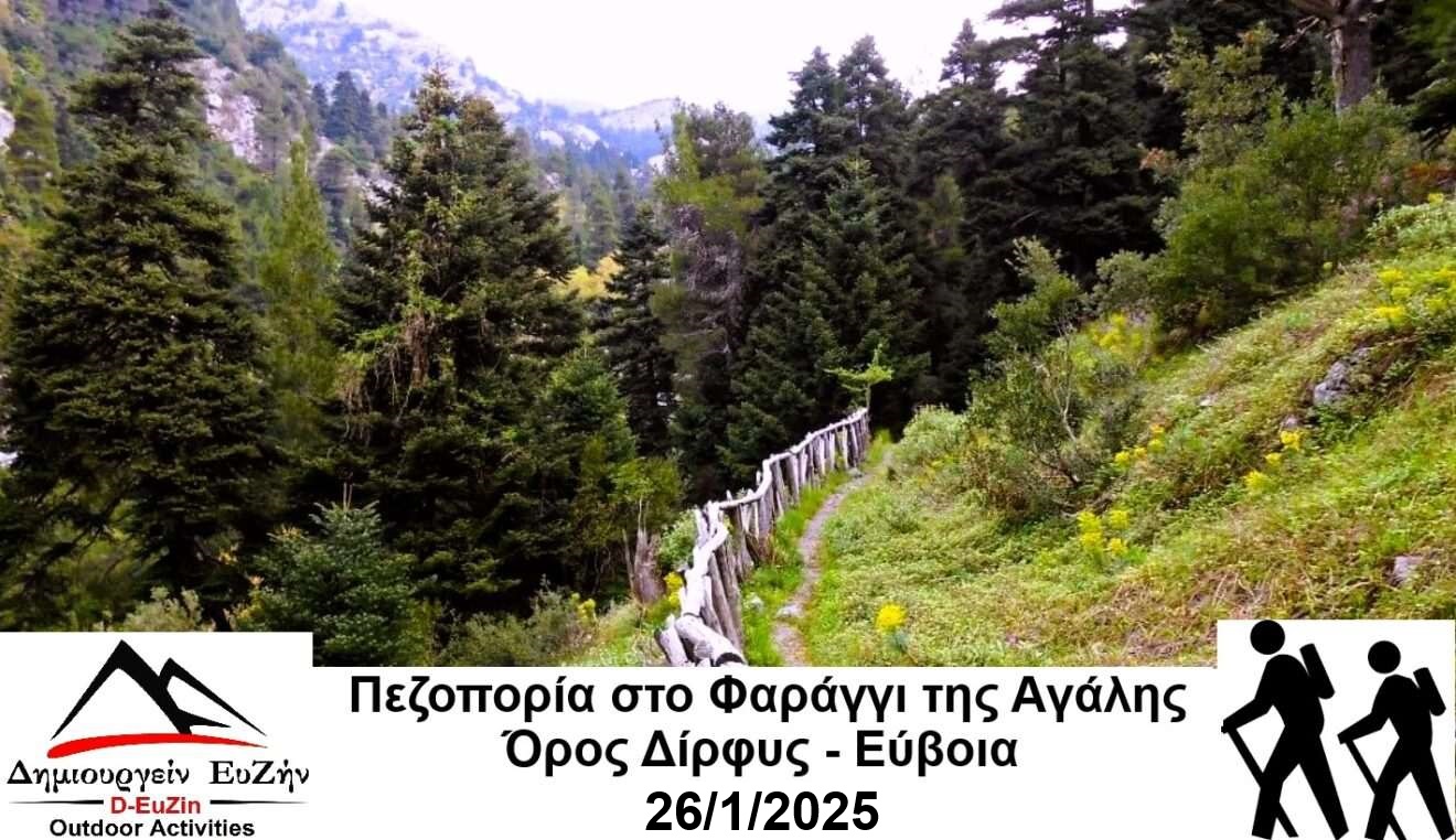 26/1/2025 Πεζοπορία στο Φαράγγι της Αγάλης - Όρος Δίρφυς - Εύβοια - D-EuZin